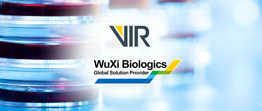 药明生物与Vir Biotechnology针对新型冠状病毒抗体达成全球研发合作